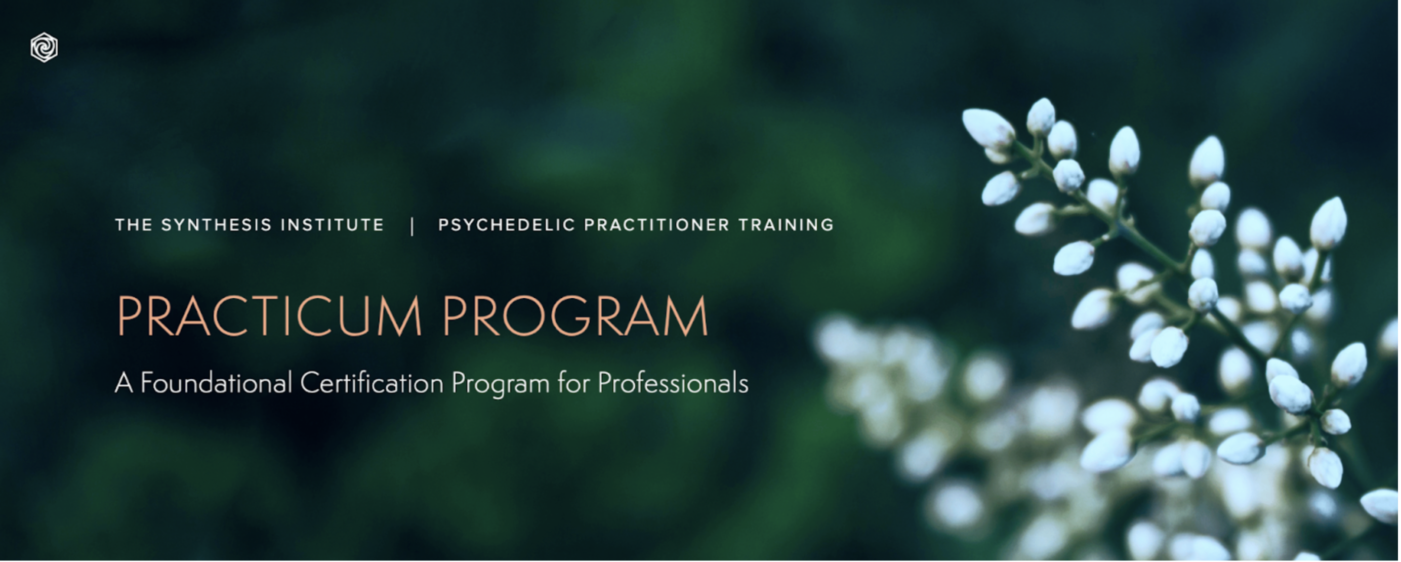 Practicum Program Internal